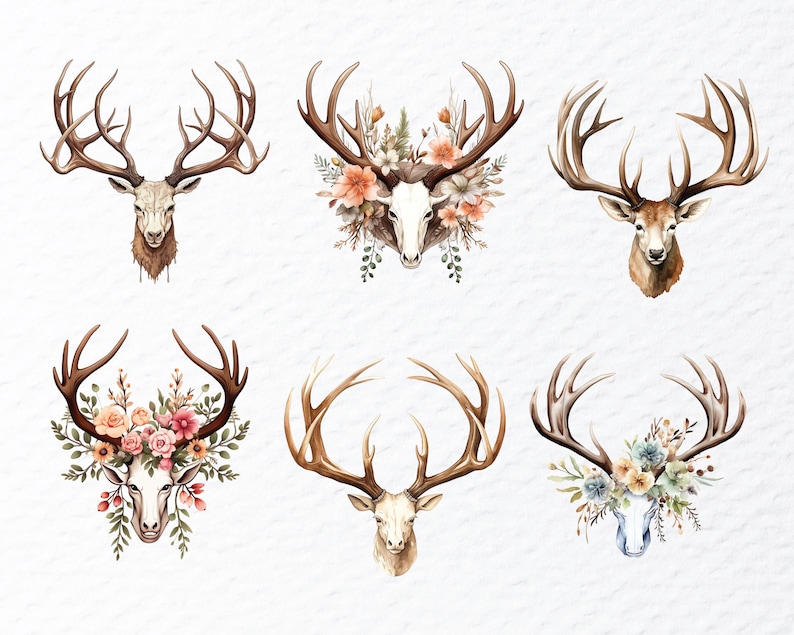 Watercolor Deer Antlers Clipart: Floral Wildlife PNG (digital Download ...