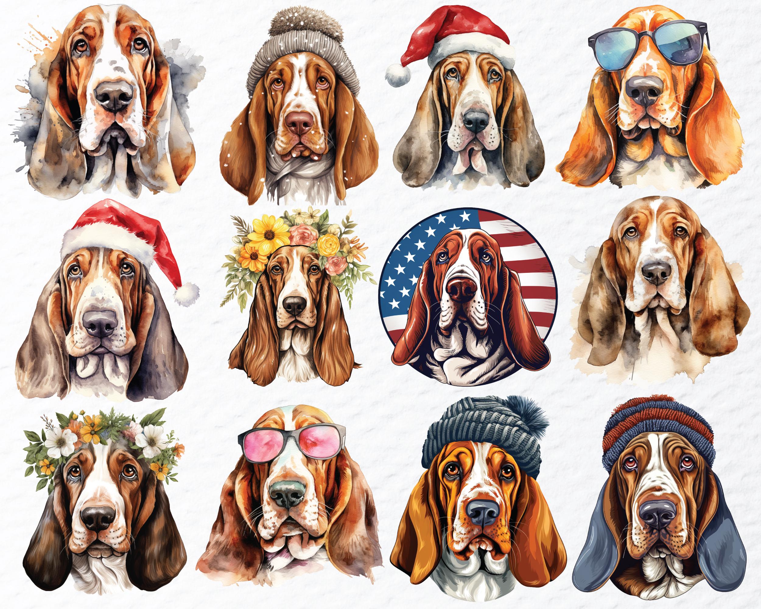 Watercolor Basset Hound Clipart: Dog PNG File (digital Download) - Etsy