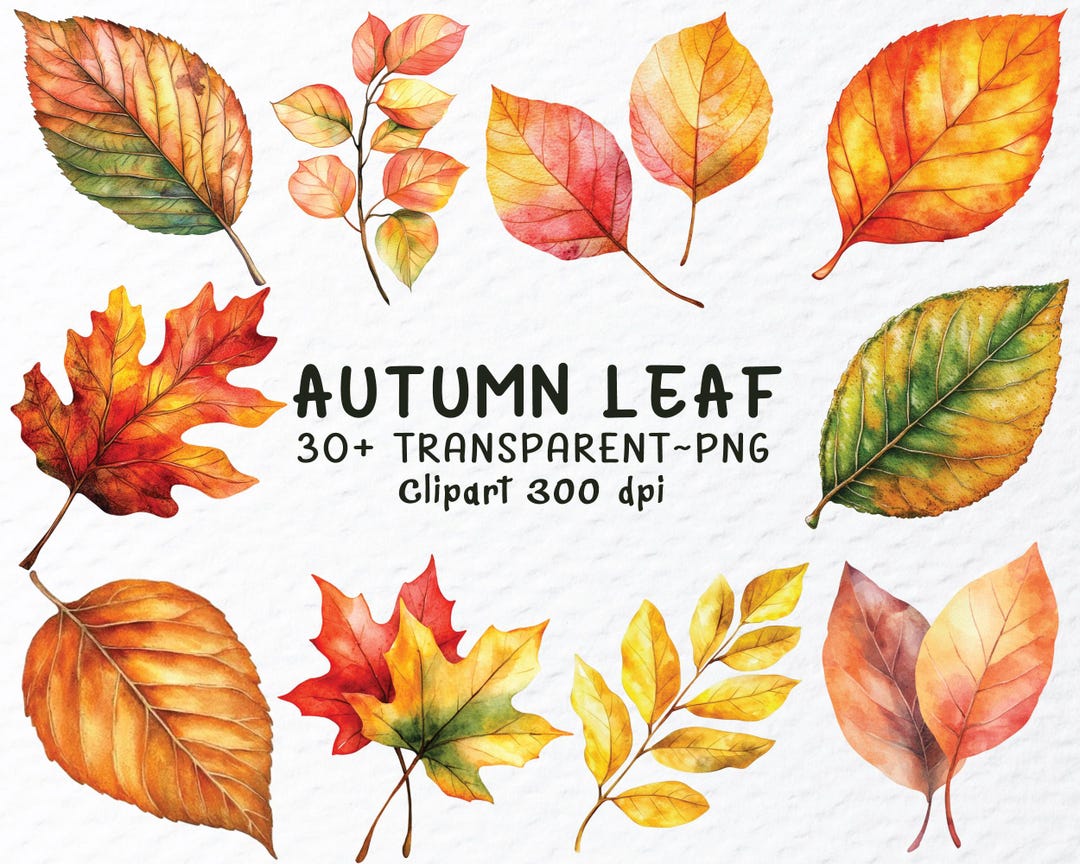 Autumn Leaf Png Clipart Bundle | Watercolor Autumn Leaves Png Files ...