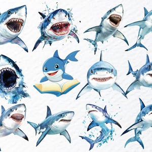 Watercolor Shark Clipart Bundle: Ocean Animal PNG Files (digital ...