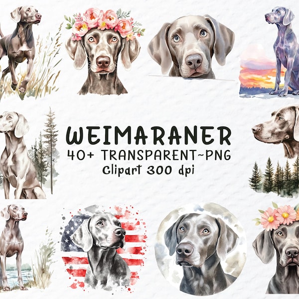 Watercolor Weimaraner - Etsy