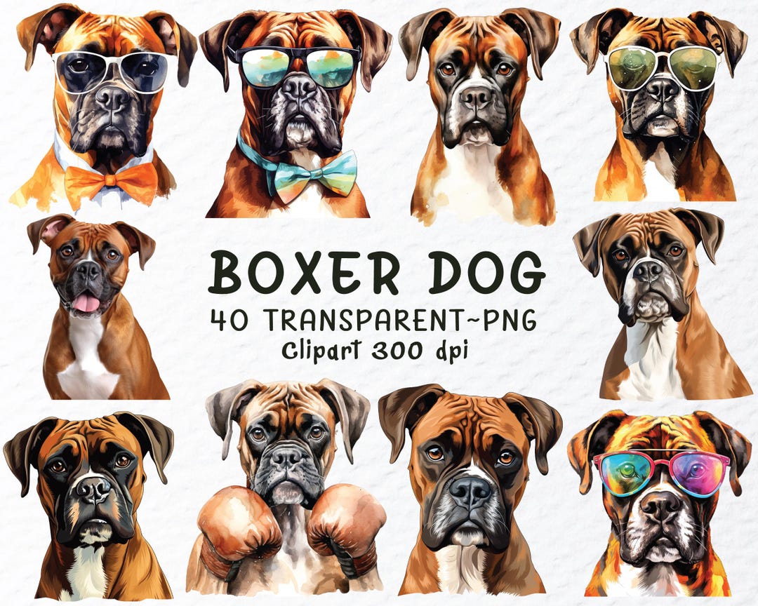 Boxer Dog Png Clipart Bundle | Boxer Dog Decal Png Files, Boxer Dogs ...