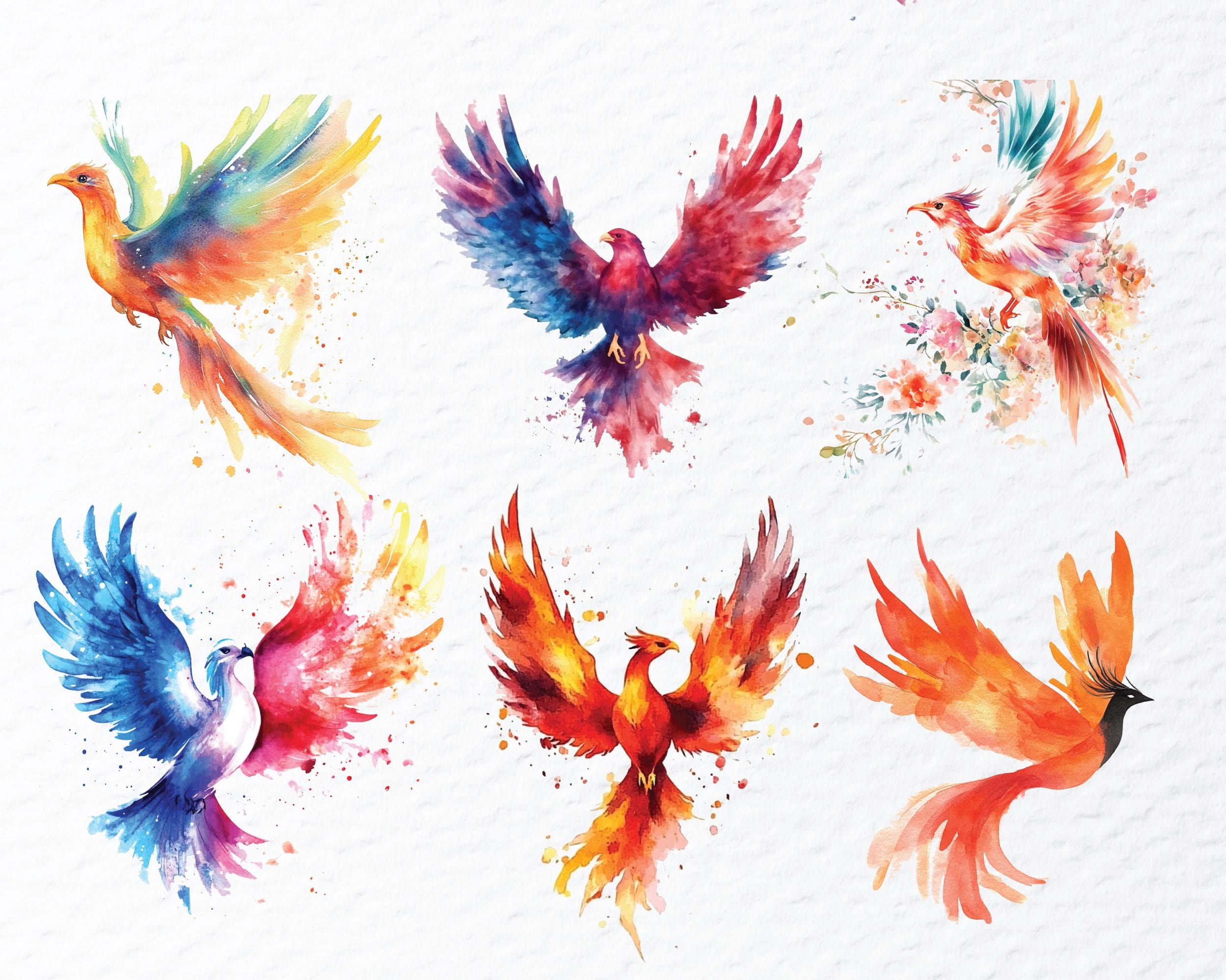 Phoenix Png Clipart Bundle | Watercolor Phoenix Png Files | Phoenix ...