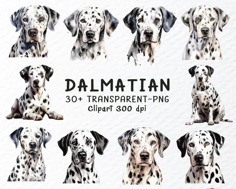 Dalmatian Dog Png Clipart Bundle | Dalmatian Decal Png Files, Dogs Png ...