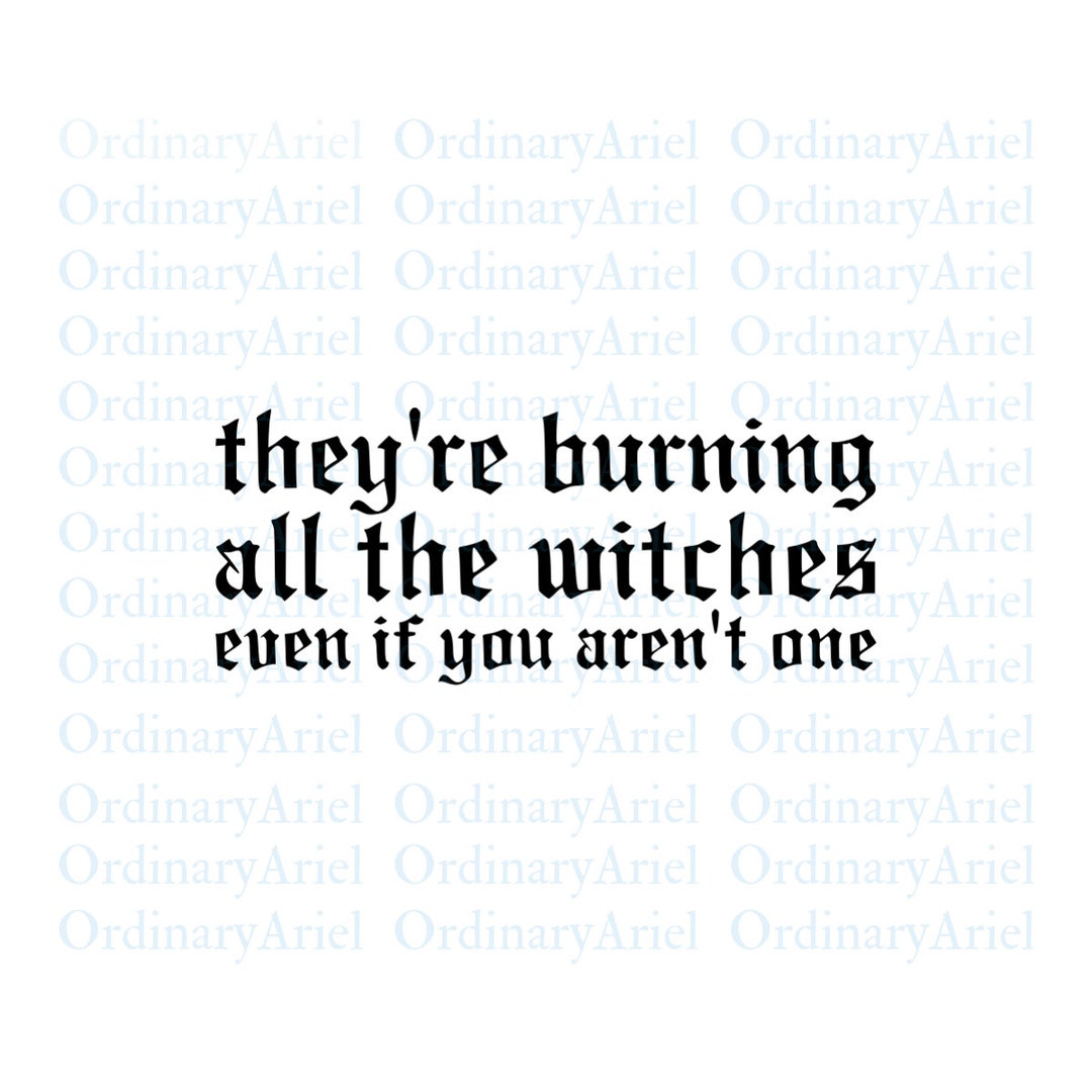 They're Burning All the Witches Even If You Aren't One Taylor Swift SVG ...