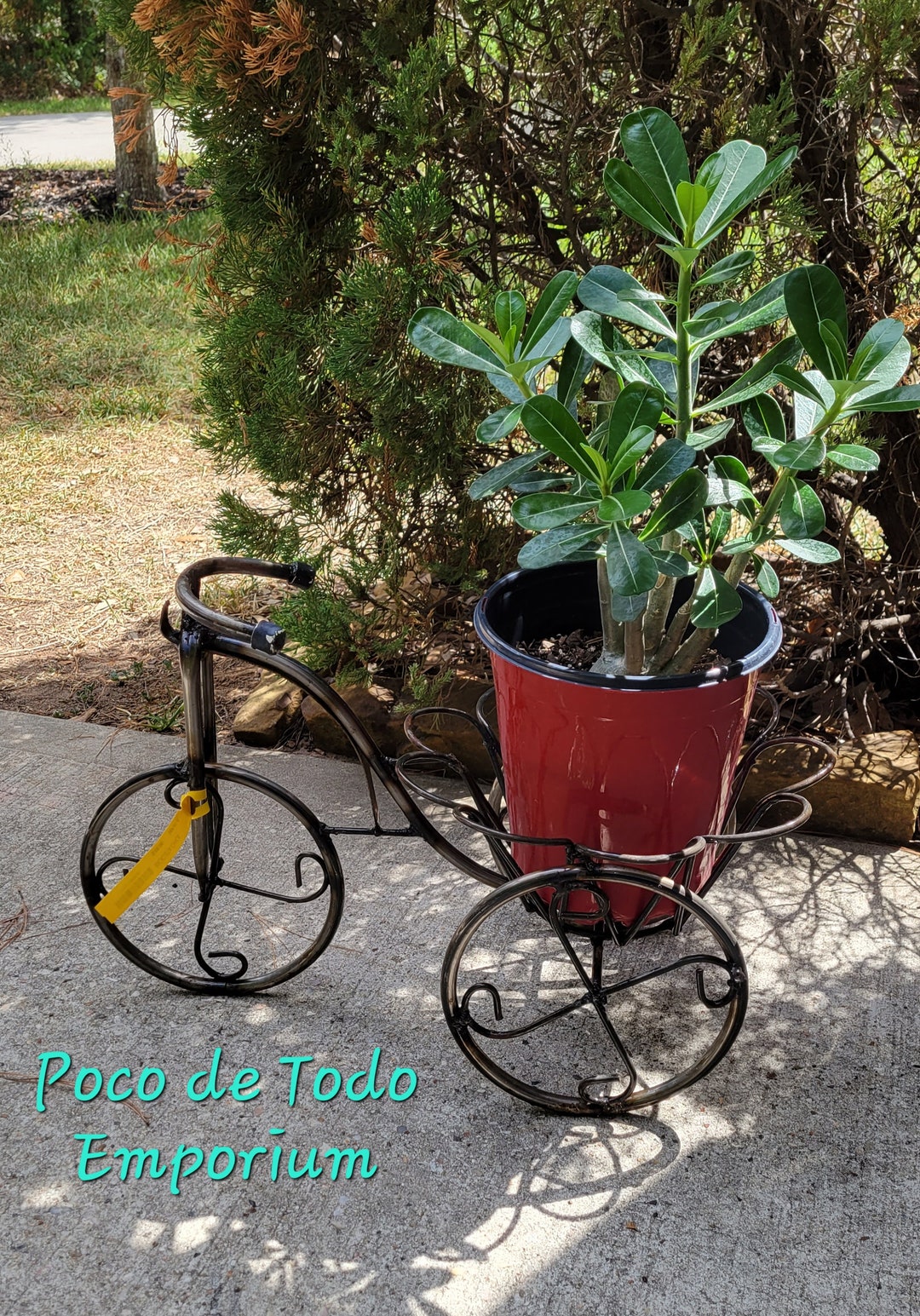 Metal Tricycle Planter Basket - Etsy