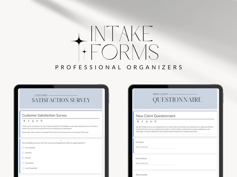New Client Intake & Questionnaire for Professional Organizers | Google ...