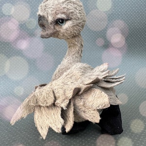 Teddy Swan Video Tutorial & PDF Pattern - Etsy