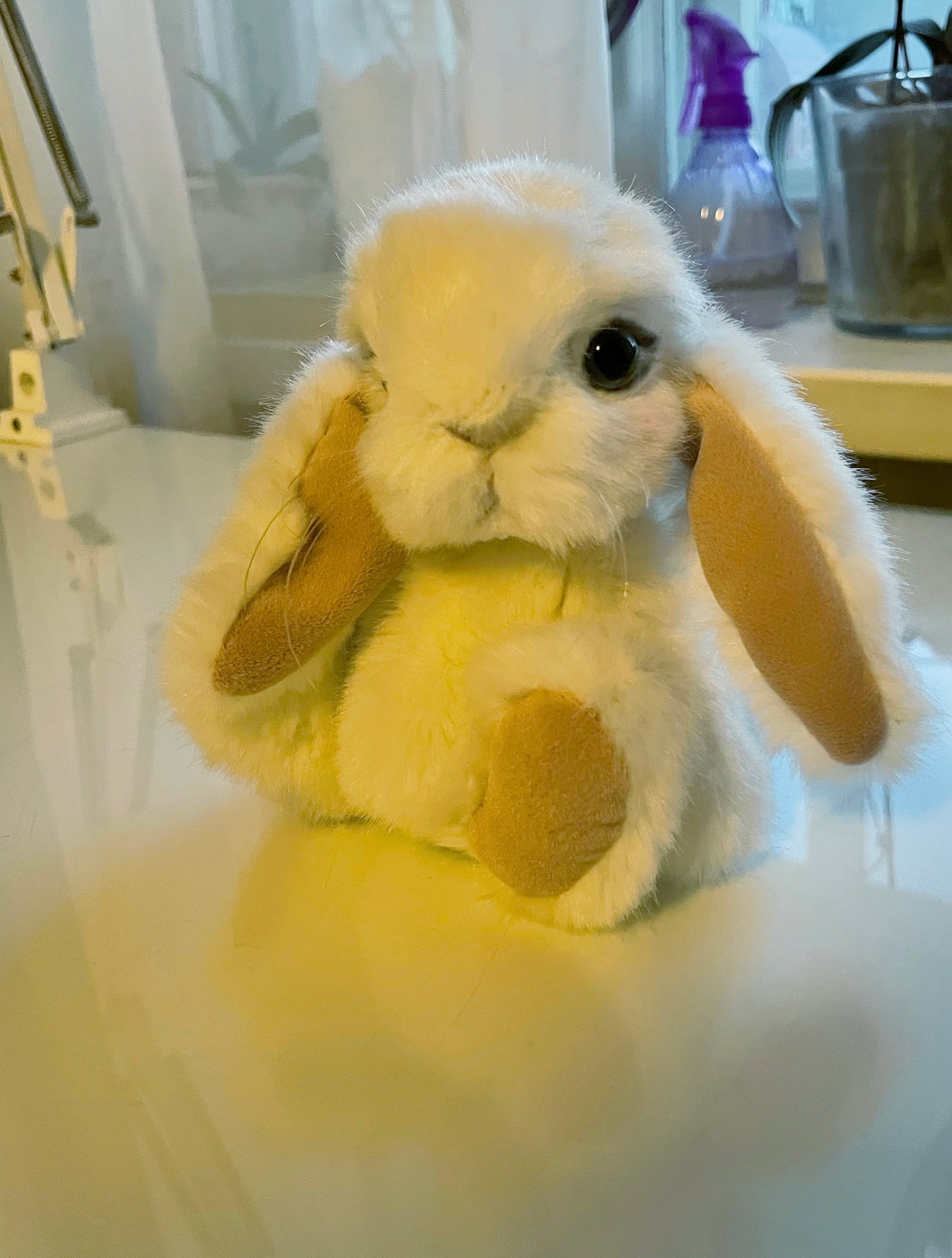 Tutorial en vídeo y patrón de costura en PDF del conejito de peluche ...