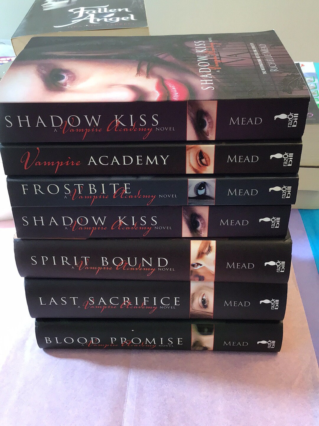 Shadow Kiss Book Cover