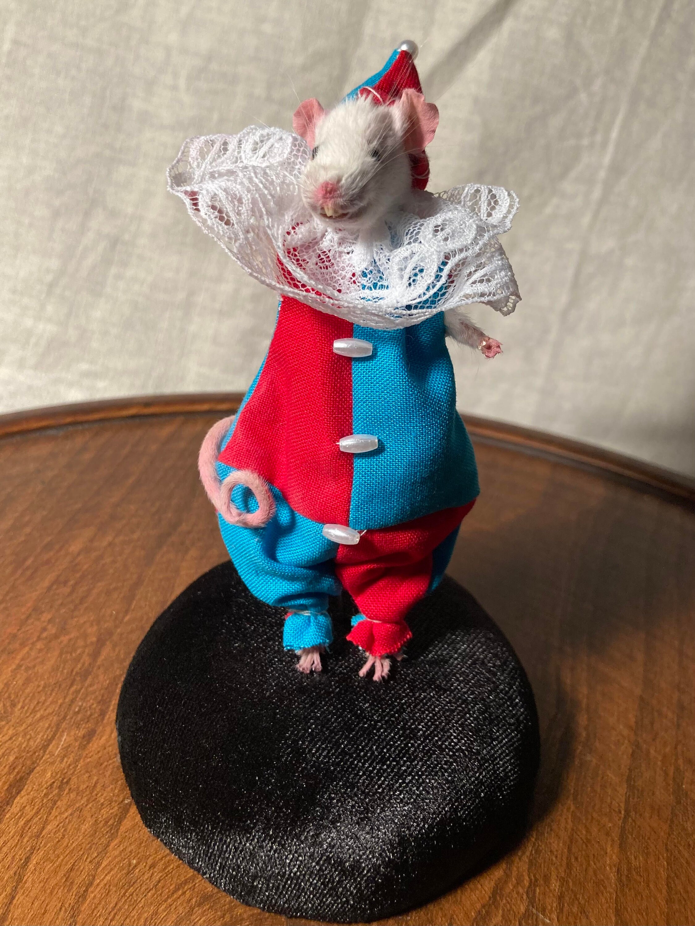 Clown Mouse, Taxidermy Mouse, Taxidermy Clown Mouse, Mouse Taxidermy - Etsy