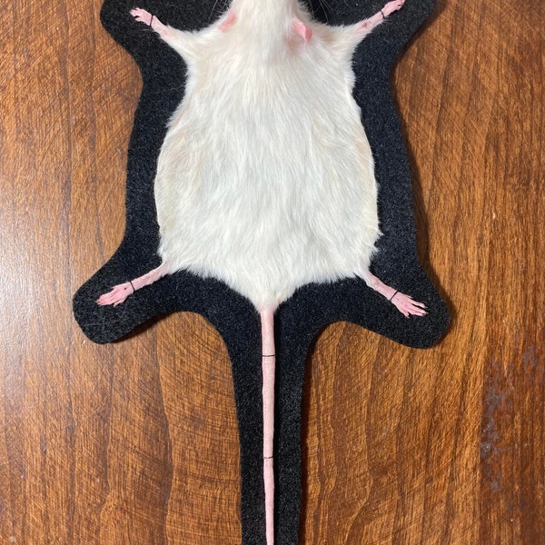 Taxidermy Mice - Etsy