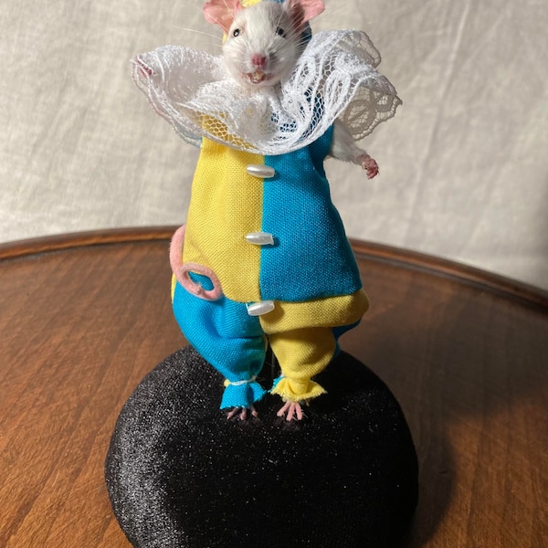 Taxidermy Mice - Etsy