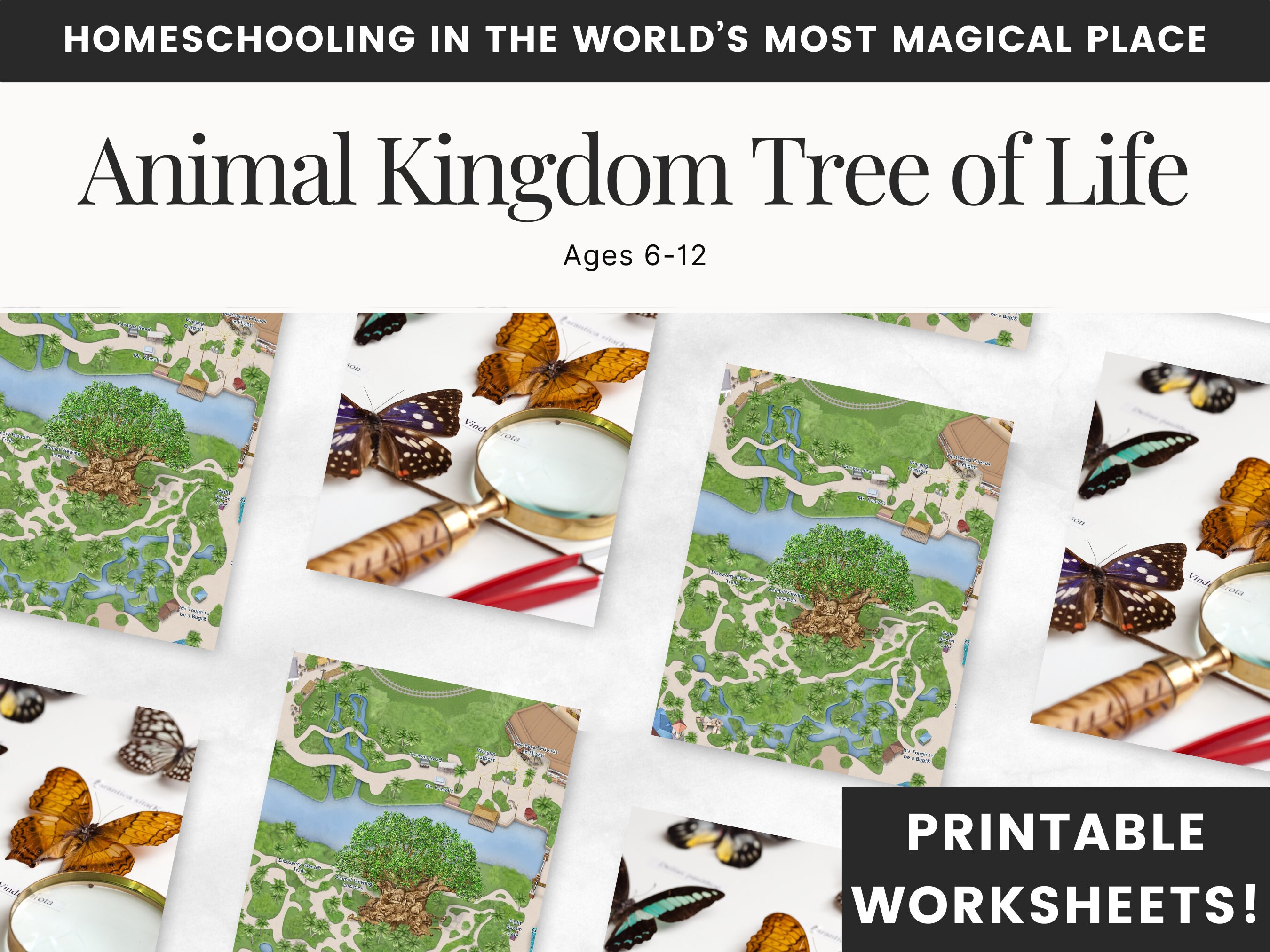 Animal Kingdom Tree of Life Activity for Homeschooling (history ...