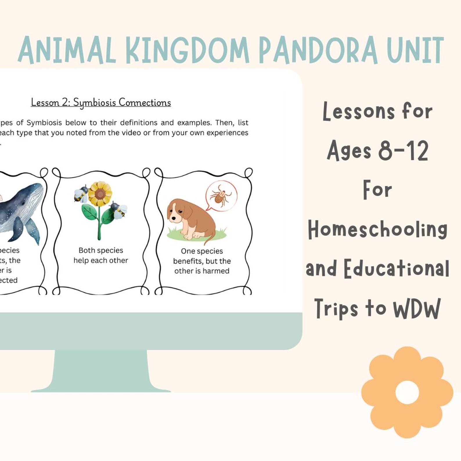 Pandora Animal Kingdom Unit | Disney Educational Worksheets | STEM ...
