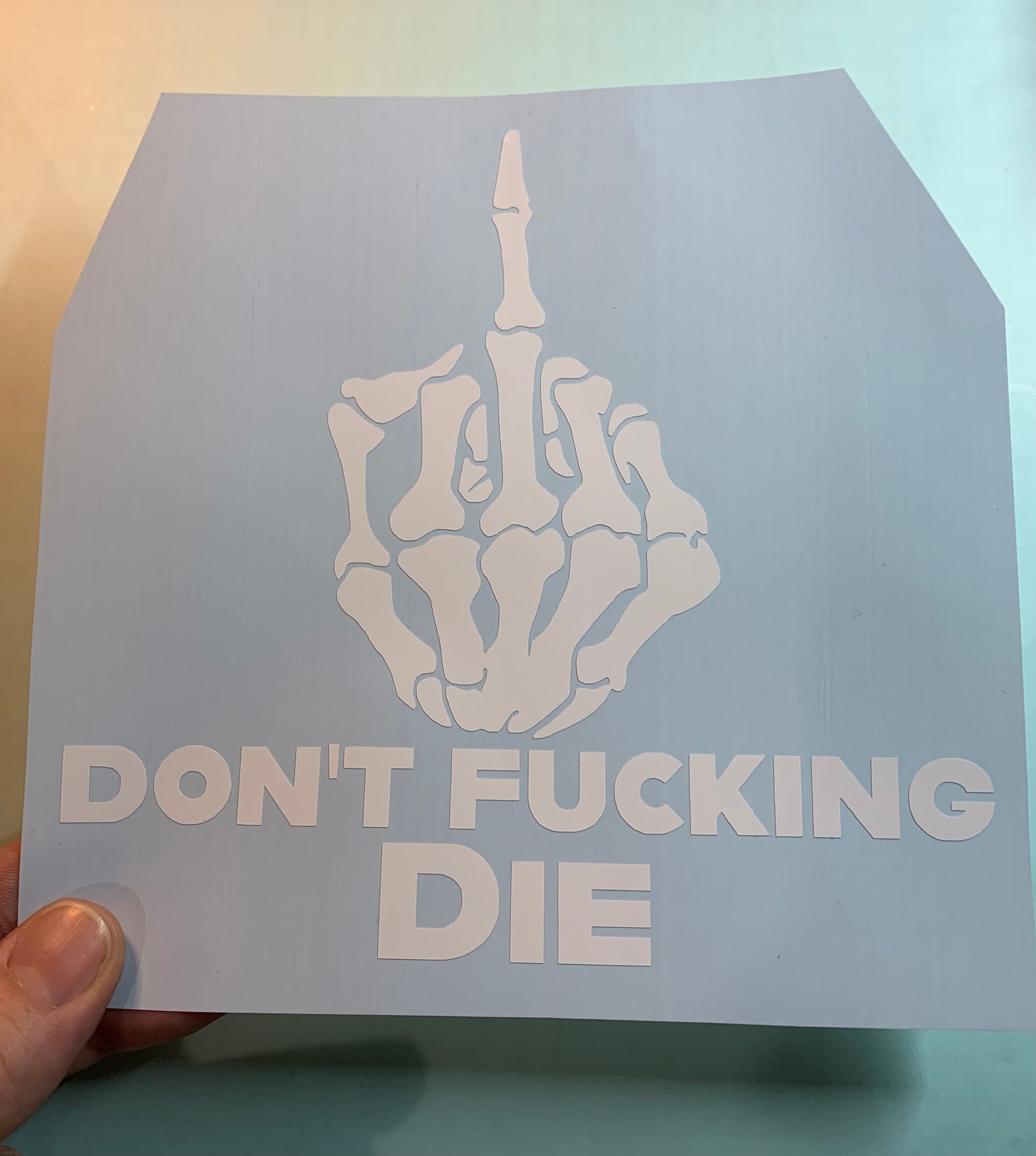 Custom Middle Finger Vinyl Decal // Car Decal // Outdoor Vinyl - Etsy