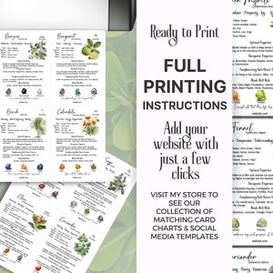 62 Essential Oil Cards Printable Aromatherapy Card Collection, Editable ...
