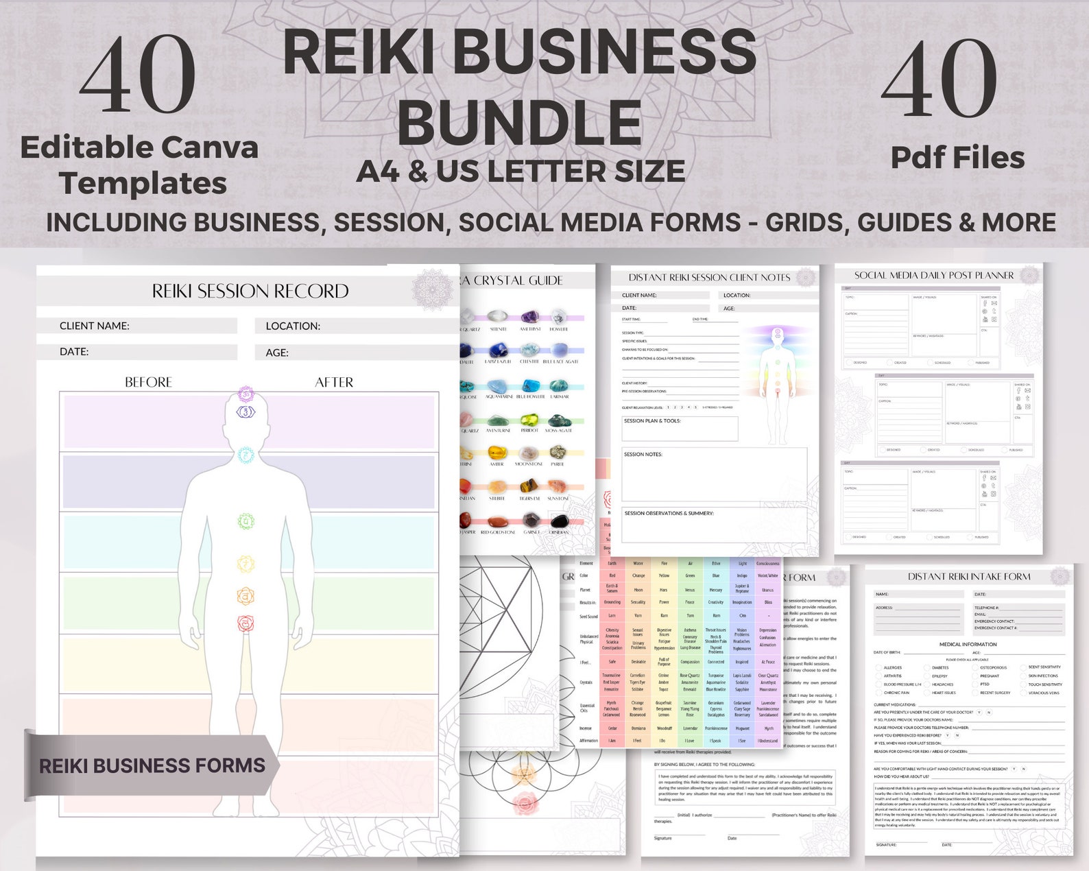 Reiki Business Form Bundle, Reiki Session, Reiki Certificates, Distance ...
