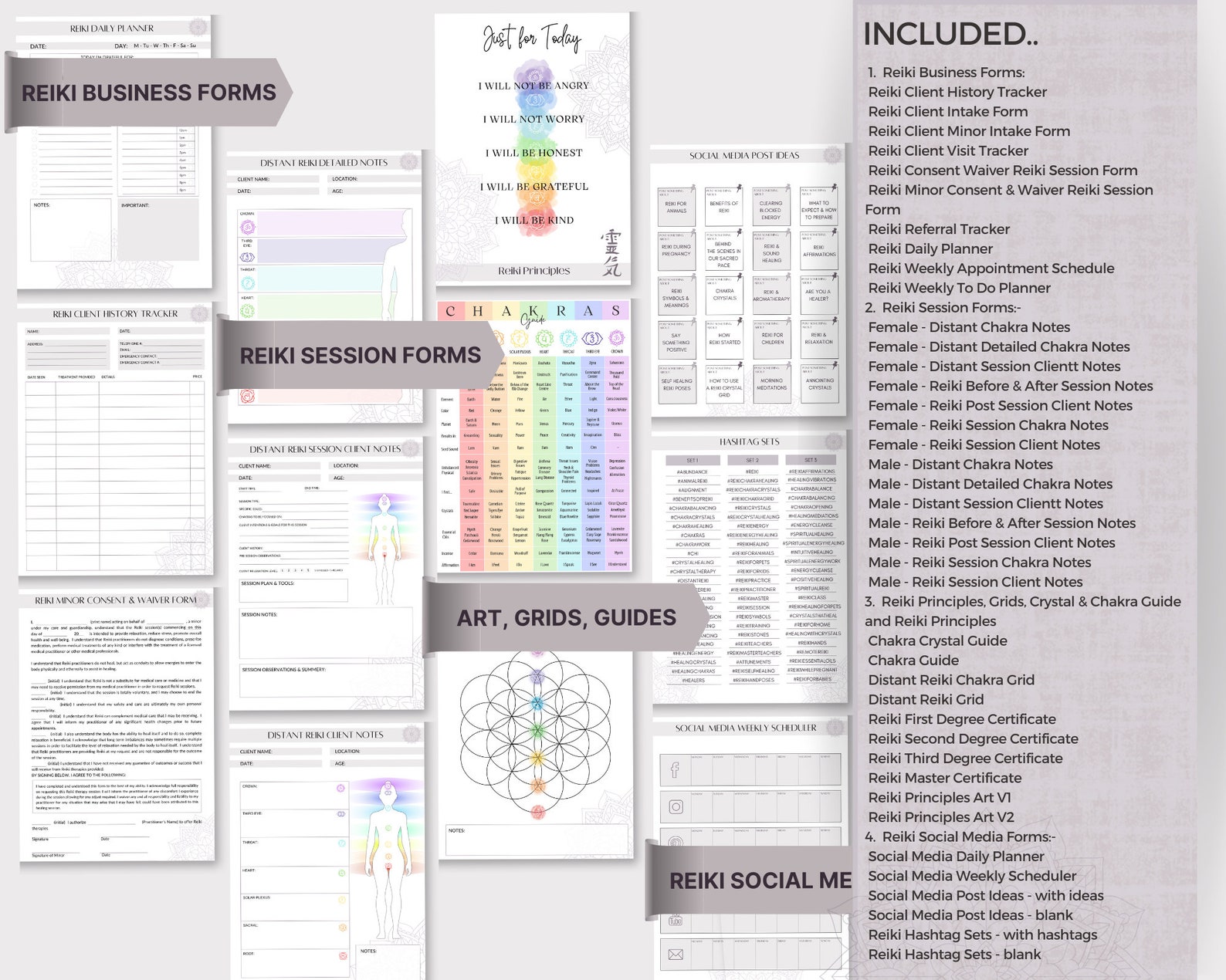 Reiki Business Form Bundle, Reiki Session, Reiki Certificates, Distance ...