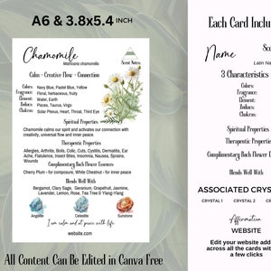 62 Essential Oil Cards Printable Aromatherapy Card Collection, Editable ...