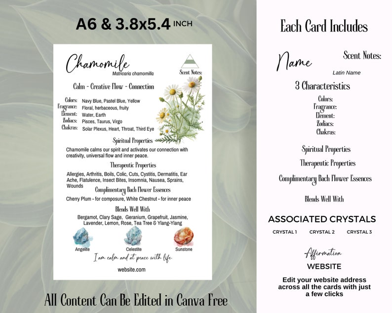 62 Essential Oil Cards Printable Aromatherapy Card - Etsy