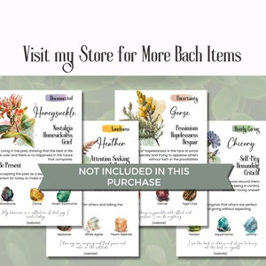 Bach Flower Essence Questionnaire Sheet for People & Pets / Animals ...