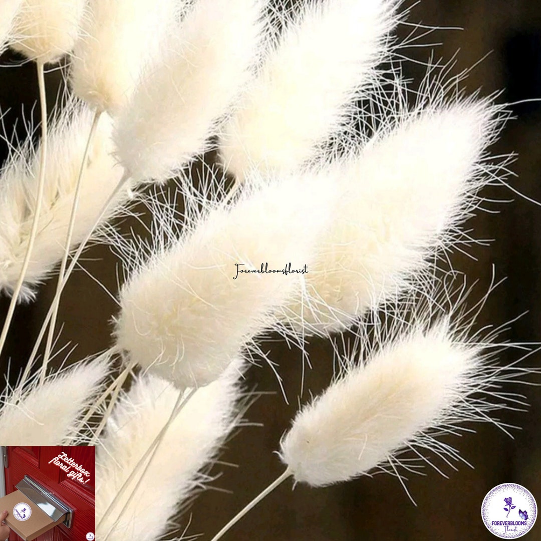 White Bunny Tails X 20 - Etsy