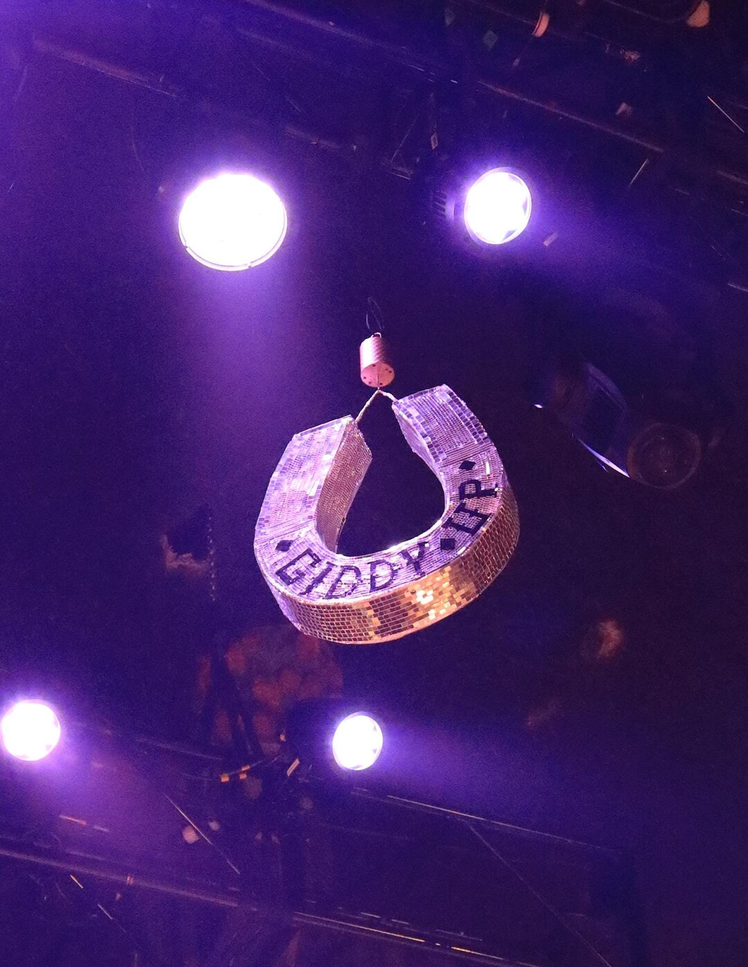 Disco Horseshoe / Southwestern Disco Decor / Custom Western Disco Ball ...