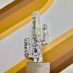Disco Cactus / Western Disco Cacti Decor / Funky Cactus Art - Etsy