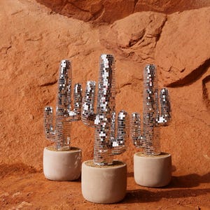 Disco Cactus / Western Disco Cacti Decor / Funky Cactus Art - Etsy