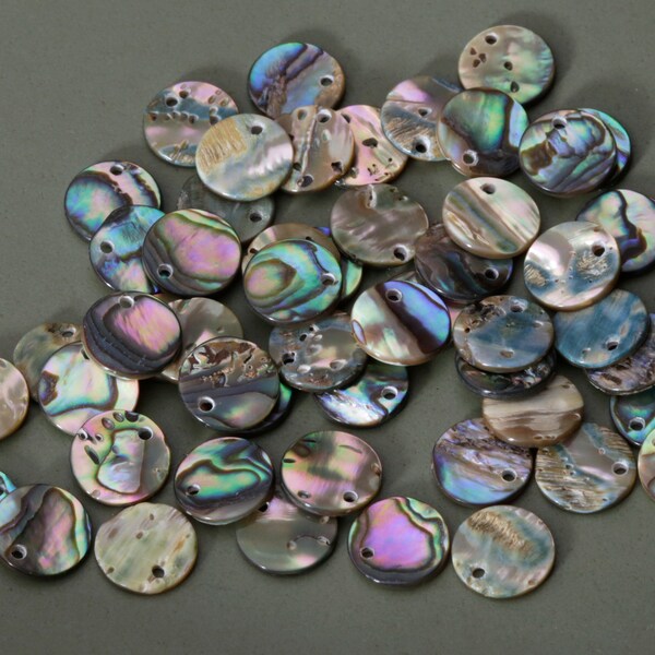 Abalone Shell - Etsy