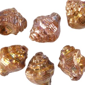 Czech Glass 15x12mm Murex Shell - Bisque Opal W/ Rembrandt Finish - Etsy