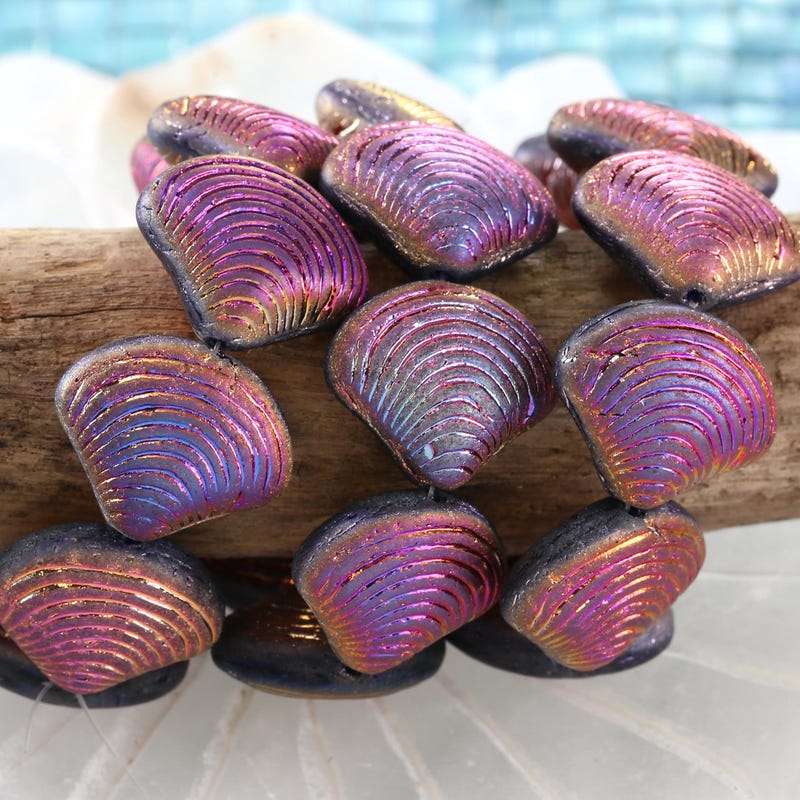Clam Shell Beads - Etsy
