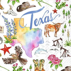 Decoupage Napkins, Texas State Theme Napkins, Set of 2 Dinner Size ...