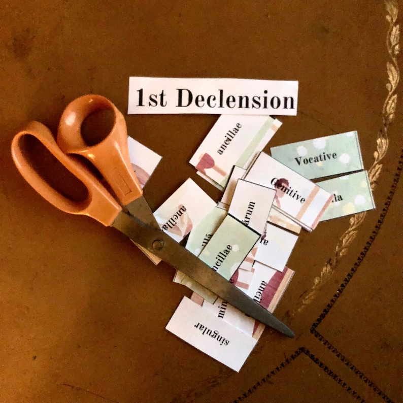 Latin Noun Declension Grammar Puzzle Game - Etsy