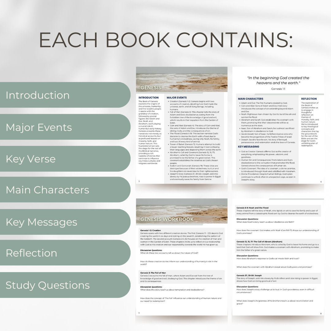 The Bible Blueprint - Full Bible Study and Overview of All 66 Books - Etsy