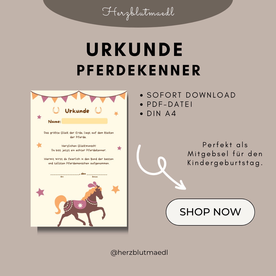 Horse Certificate | Horse Party | Horse Person Certificates A4 | Print ...