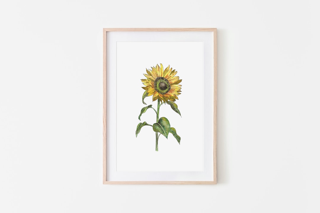 Sunflower Pen and Ink Watercolor Digital Download - Etsy
