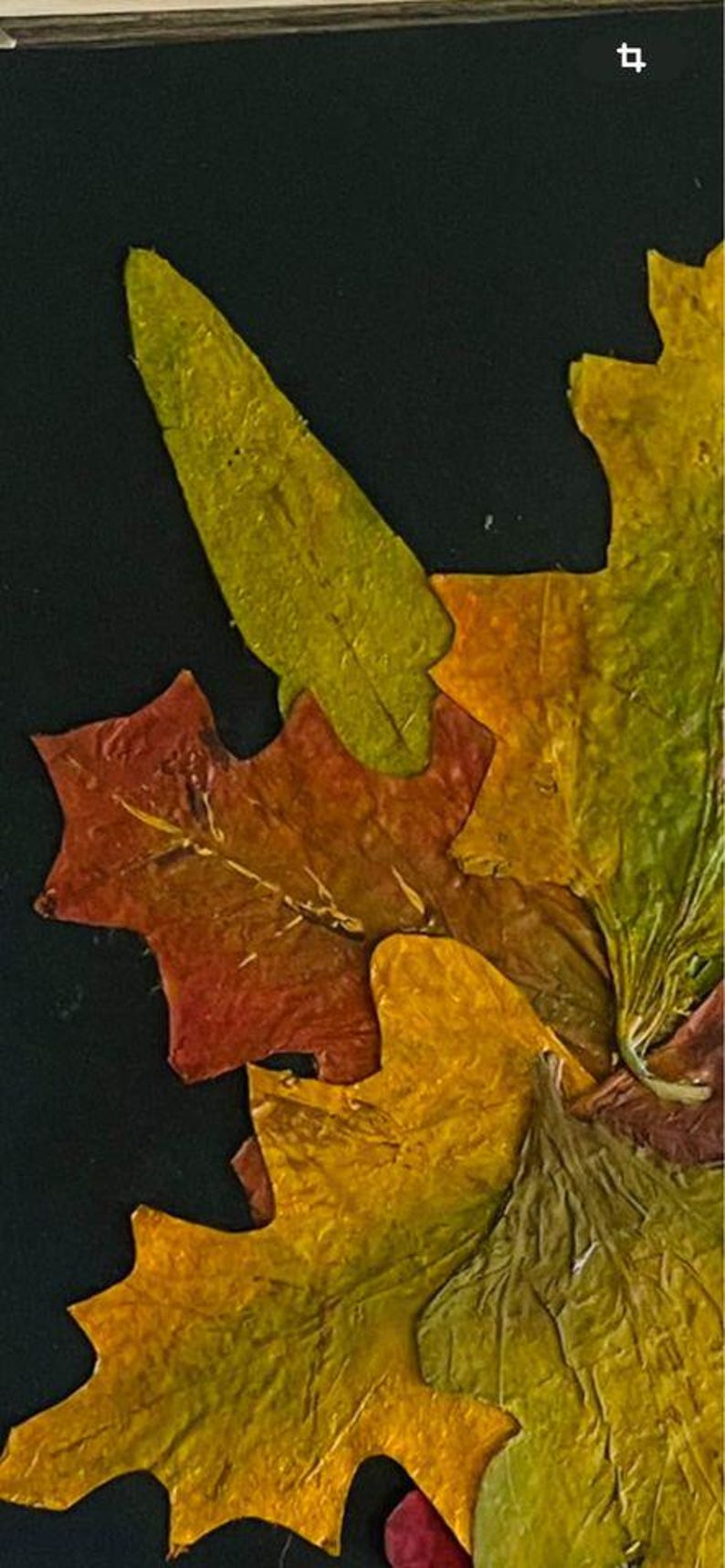 Leaves Real Pressed Flower,botanical Artwork Framed, Wall Art ...