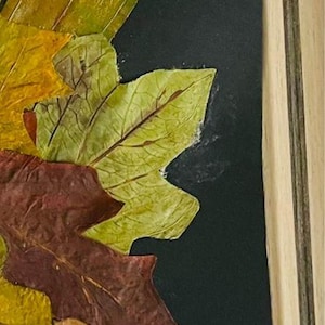 Leaves Real Pressed Flower,botanical Artwork Framed, Wall Art ...