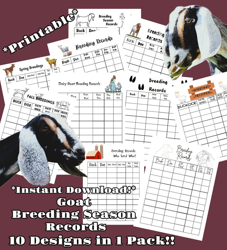Goat Breeding Records: Farm Printable (PDF & JPG) - Etsy