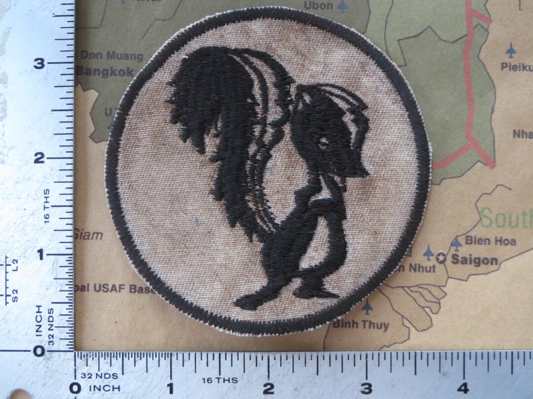 Patch , Skunk, SKUNK Works Lockheed SR-71 Blackbird U-2 F-117 F-104 ...