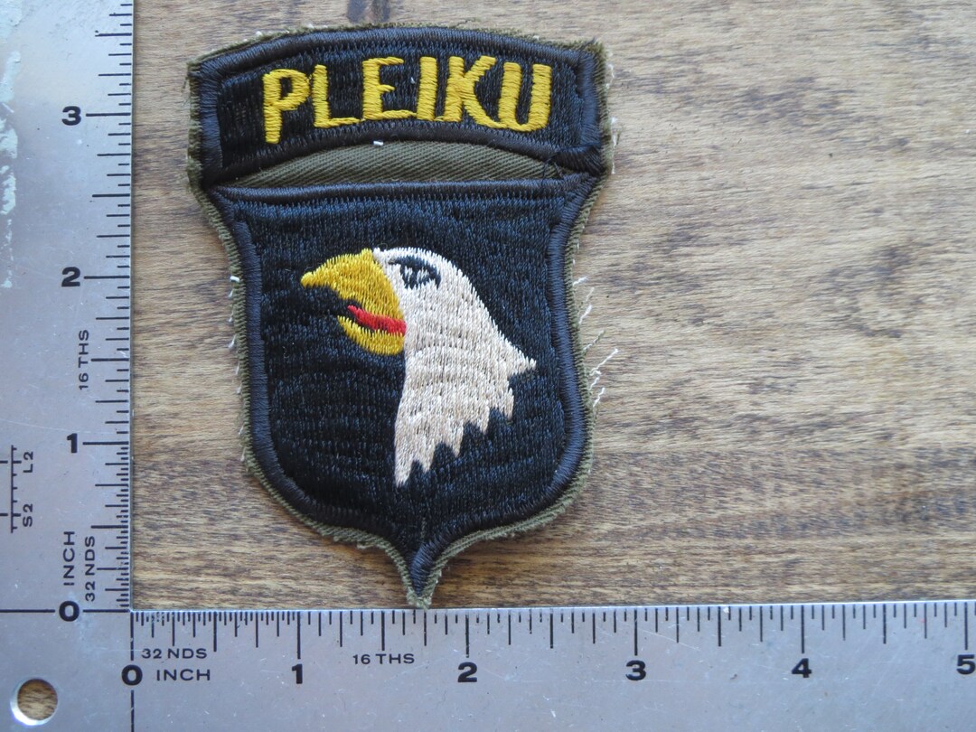 Patch , 101st Airborne Division , Pleiku , Good Looking Patch - Etsy