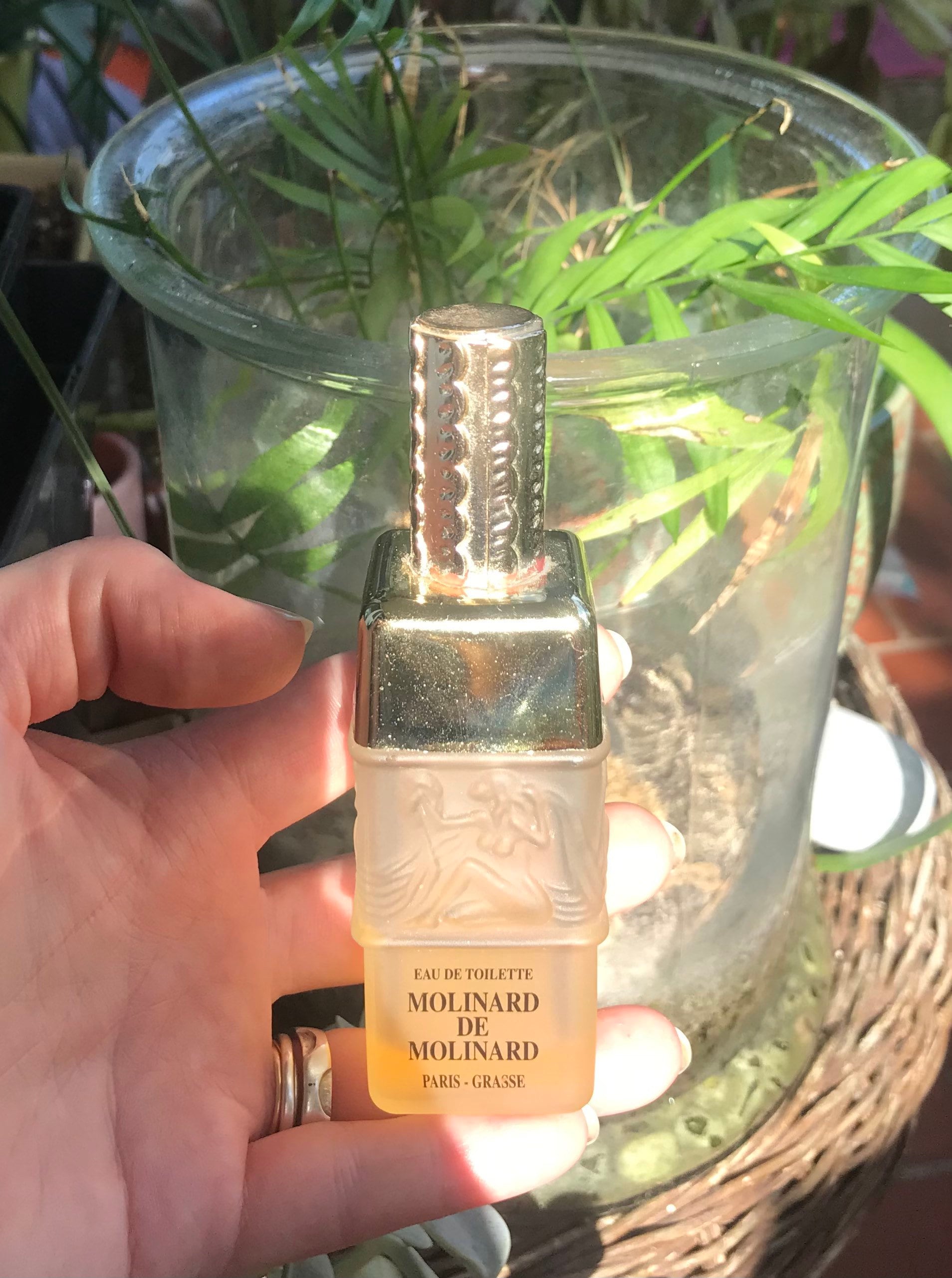 Molinard De Molinard Perfume Bottle Designed by Lalique 50 Ml - Etsy