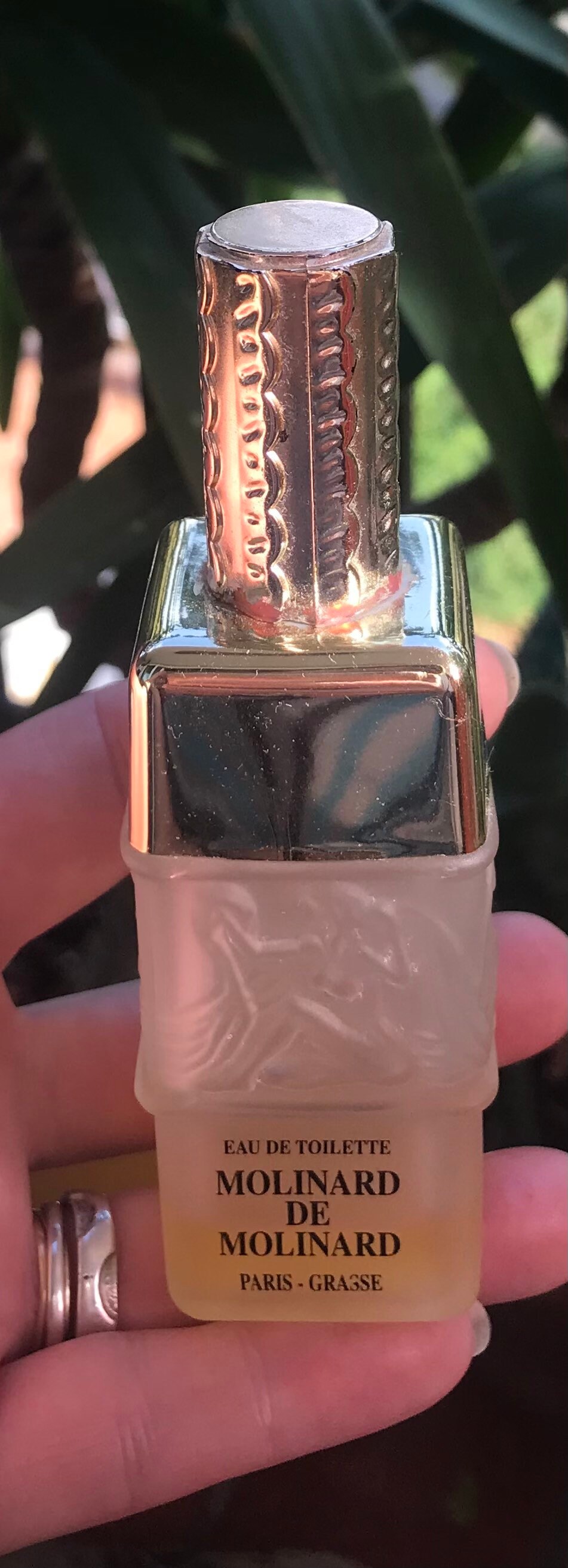 Molinard De Molinard Perfume Bottle Designed by Lalique 50 Ml - Etsy