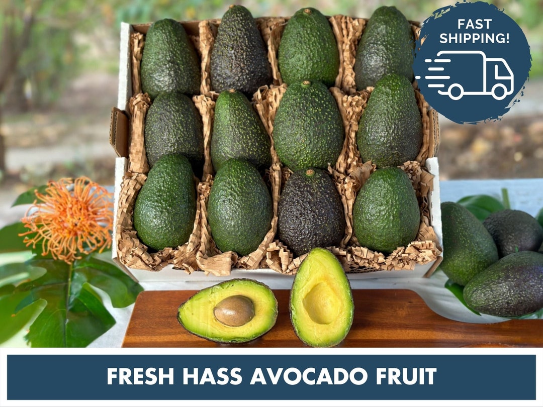 Fresh Hass Avocado Fruit Fast Cheap Shipping Local - Etsy