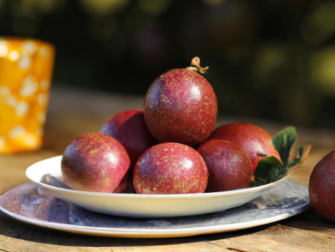 1LB Fresh Organic Purple Passion Fruit FREE Shipping Local - Etsy