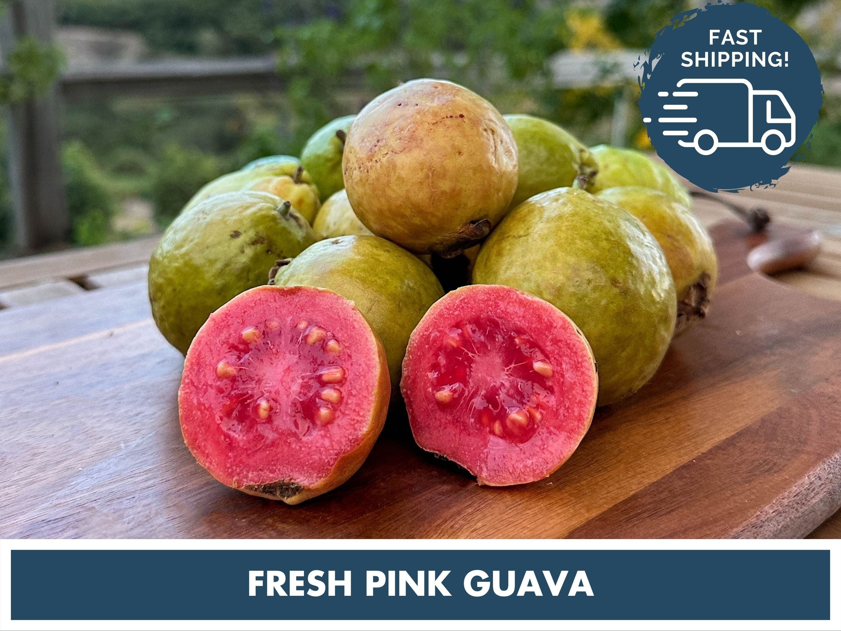 Guayaba Fruit In English