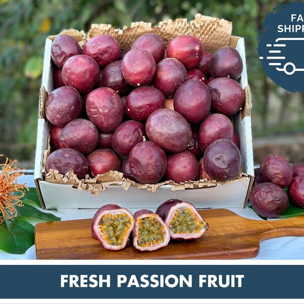 Fruit - Etsy