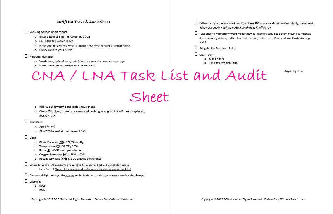 CNA or LNA Task List and Audit Sheet - Etsy